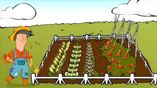 Poesías infantiles de huertas para niños. Alegría en la huerta